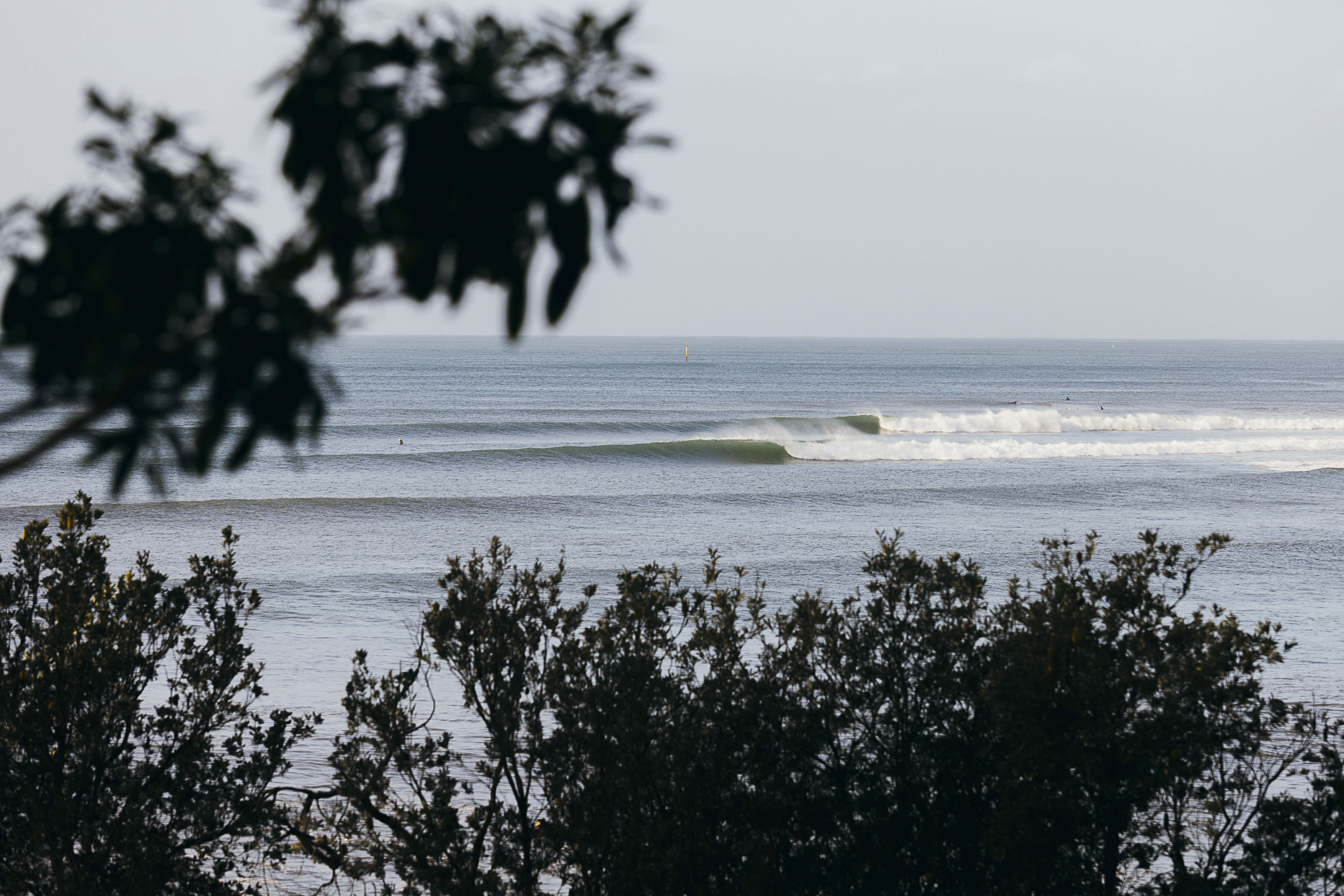 First Pulse: Early Sessions From Victoria’s Late Winter Run