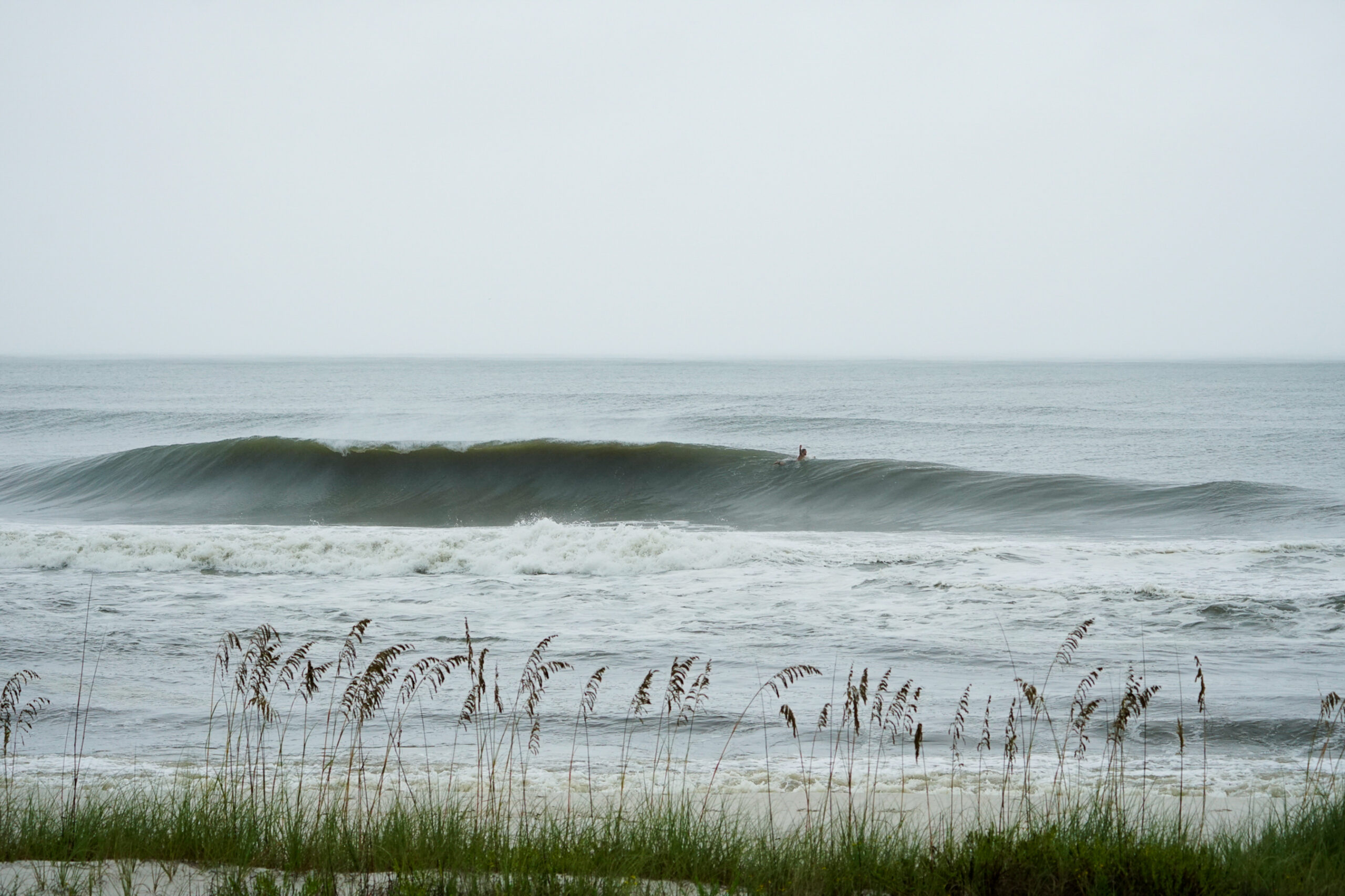 Day of the Year on the Gulf Coast, Courtesy Hurricane Francine