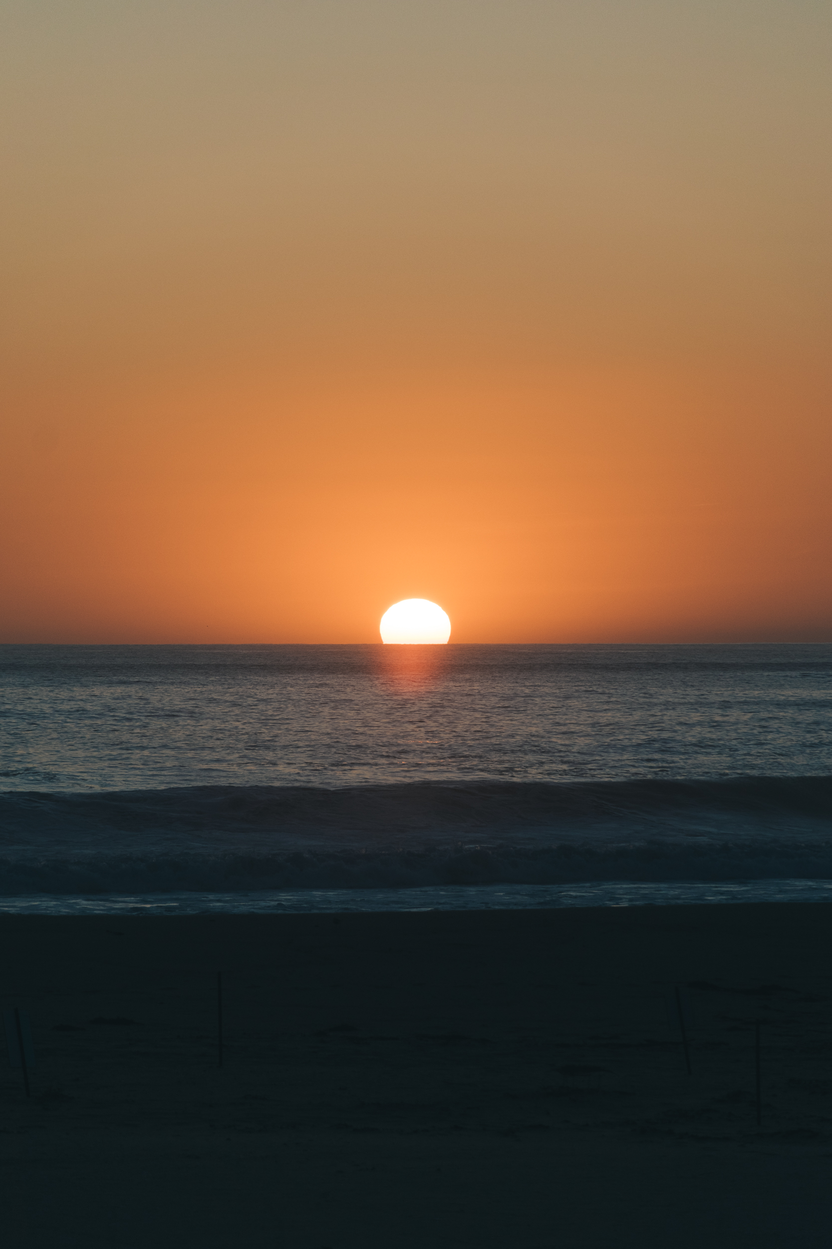 NE NZ: Showing Up When It Counts