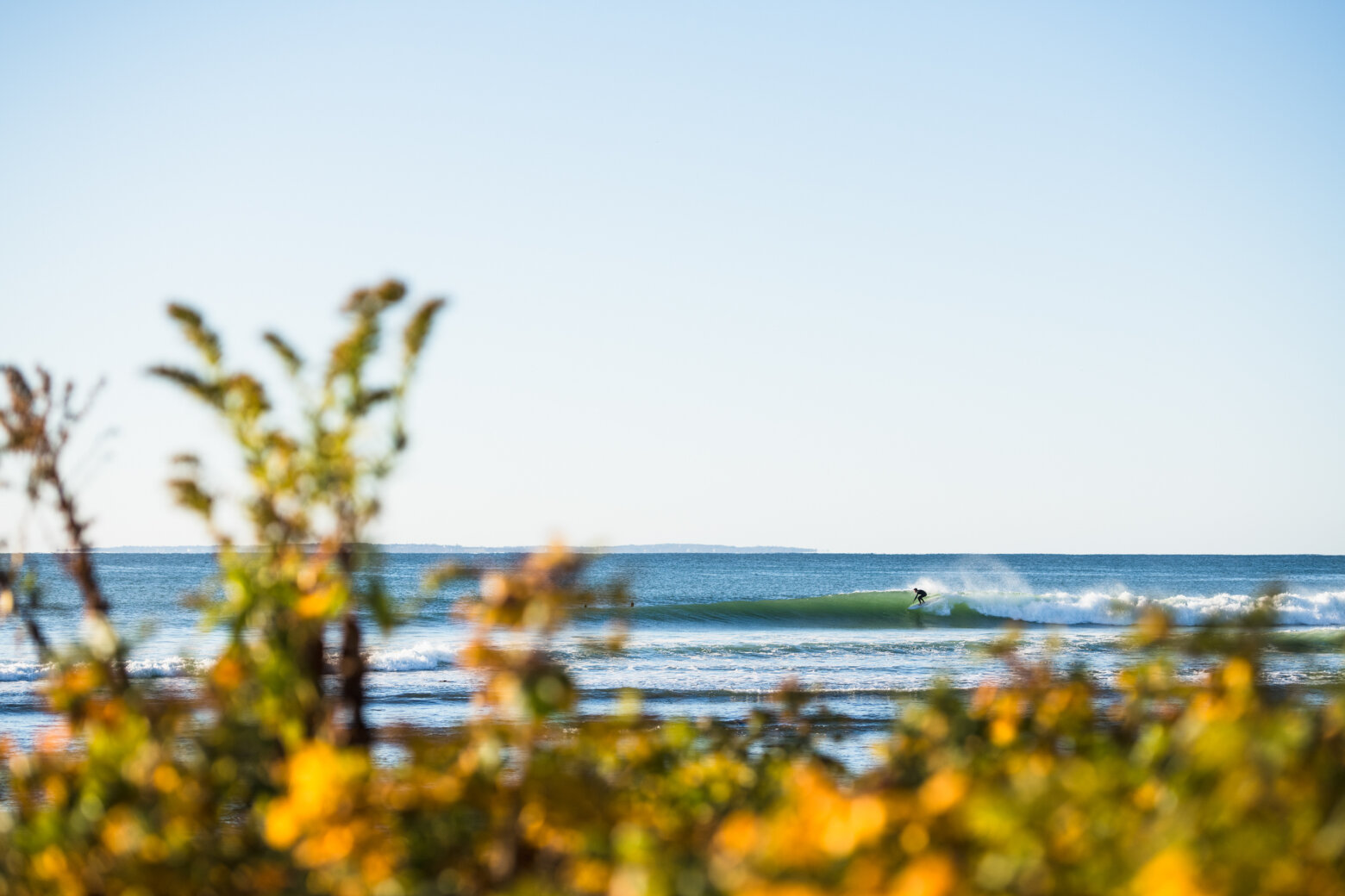 TGIF in New York & New England…Again!