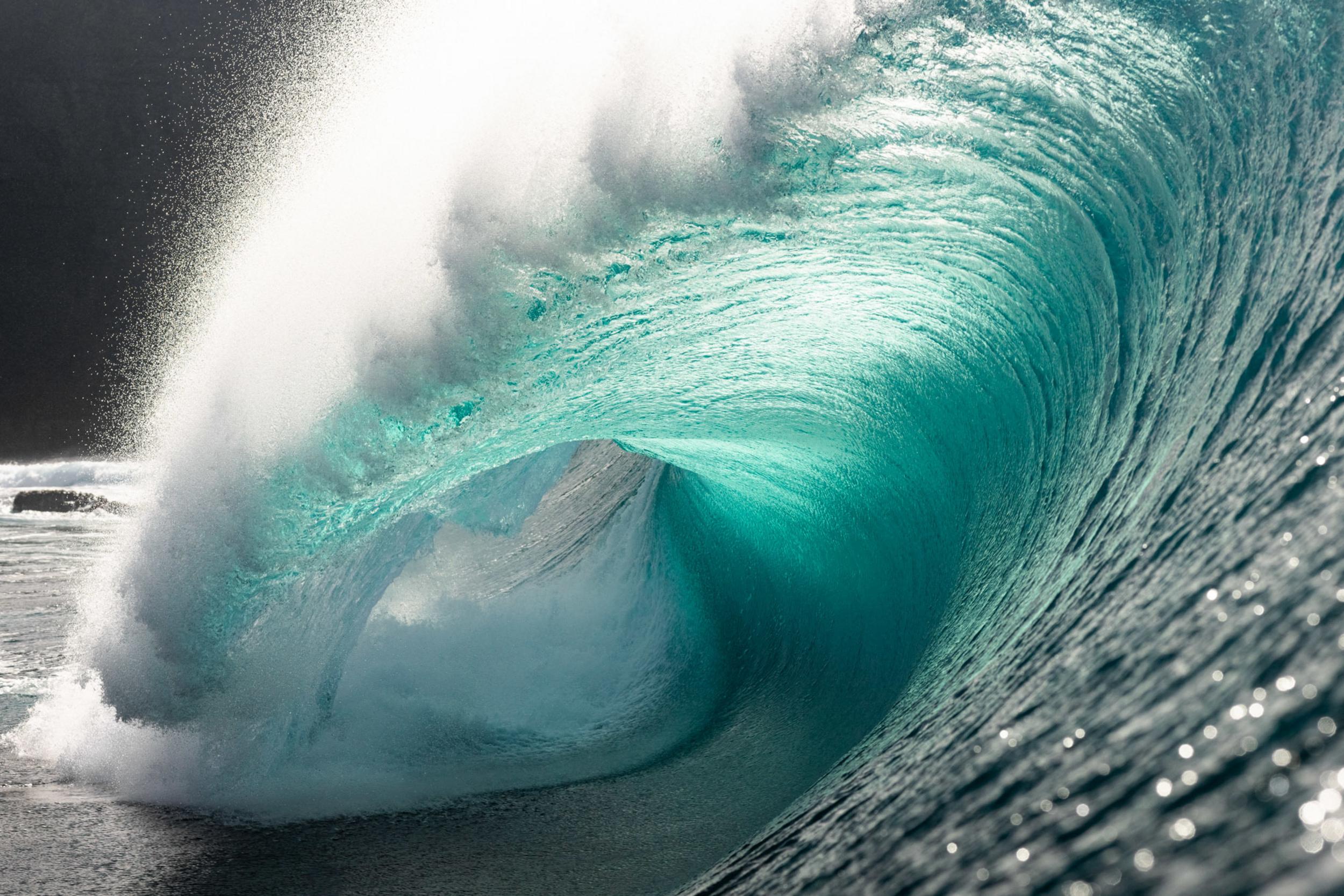 Riley’s: “Scariest We’ve Ever Seen!”