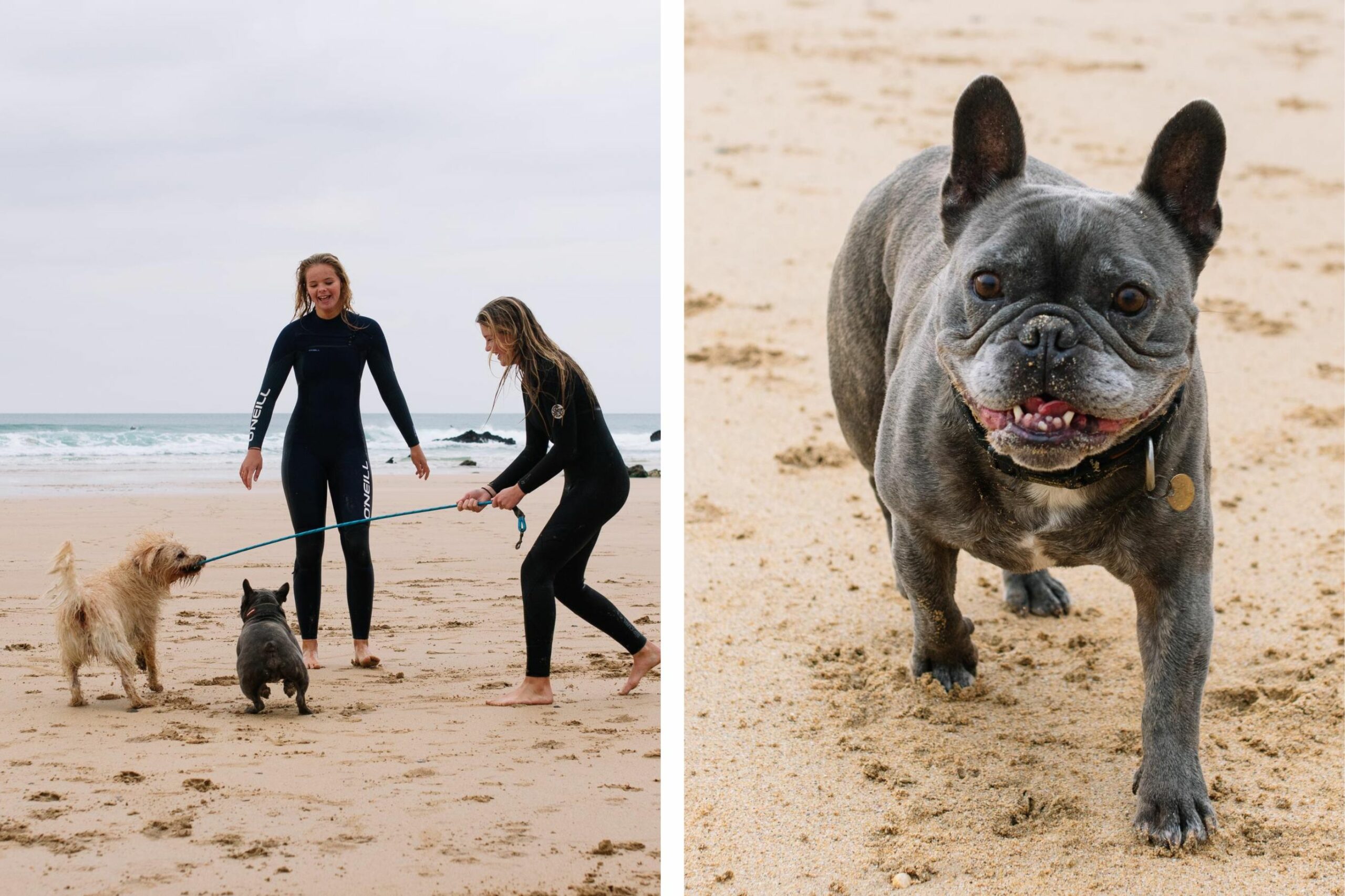 An Autumn Gem: "One Of Those Peachy Days"