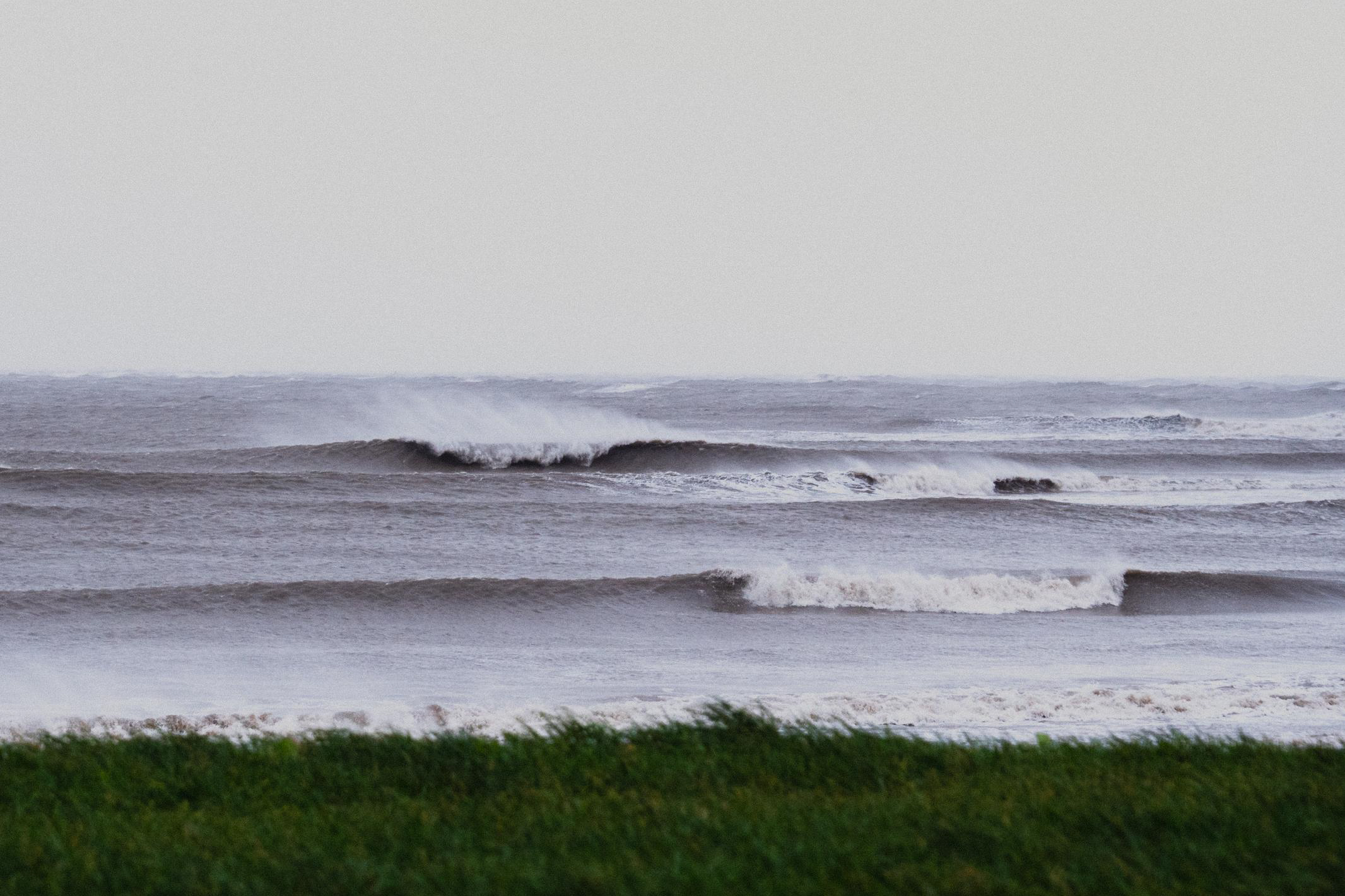 Storm Darragh: Escaping the Wind