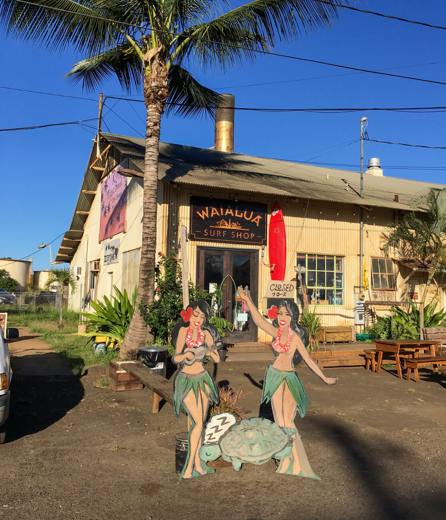 ’Tis the Season for the Analog Consumer