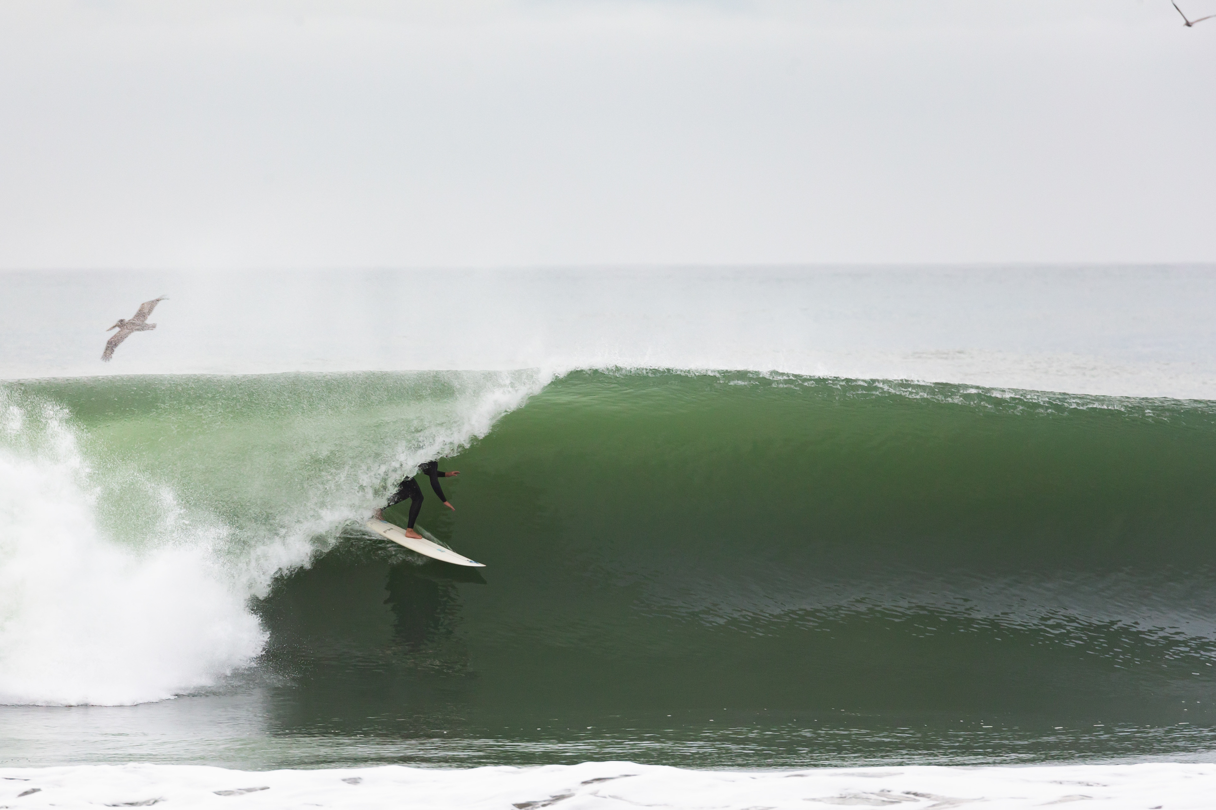 Multiple North Pacific Swells Slam SoCal