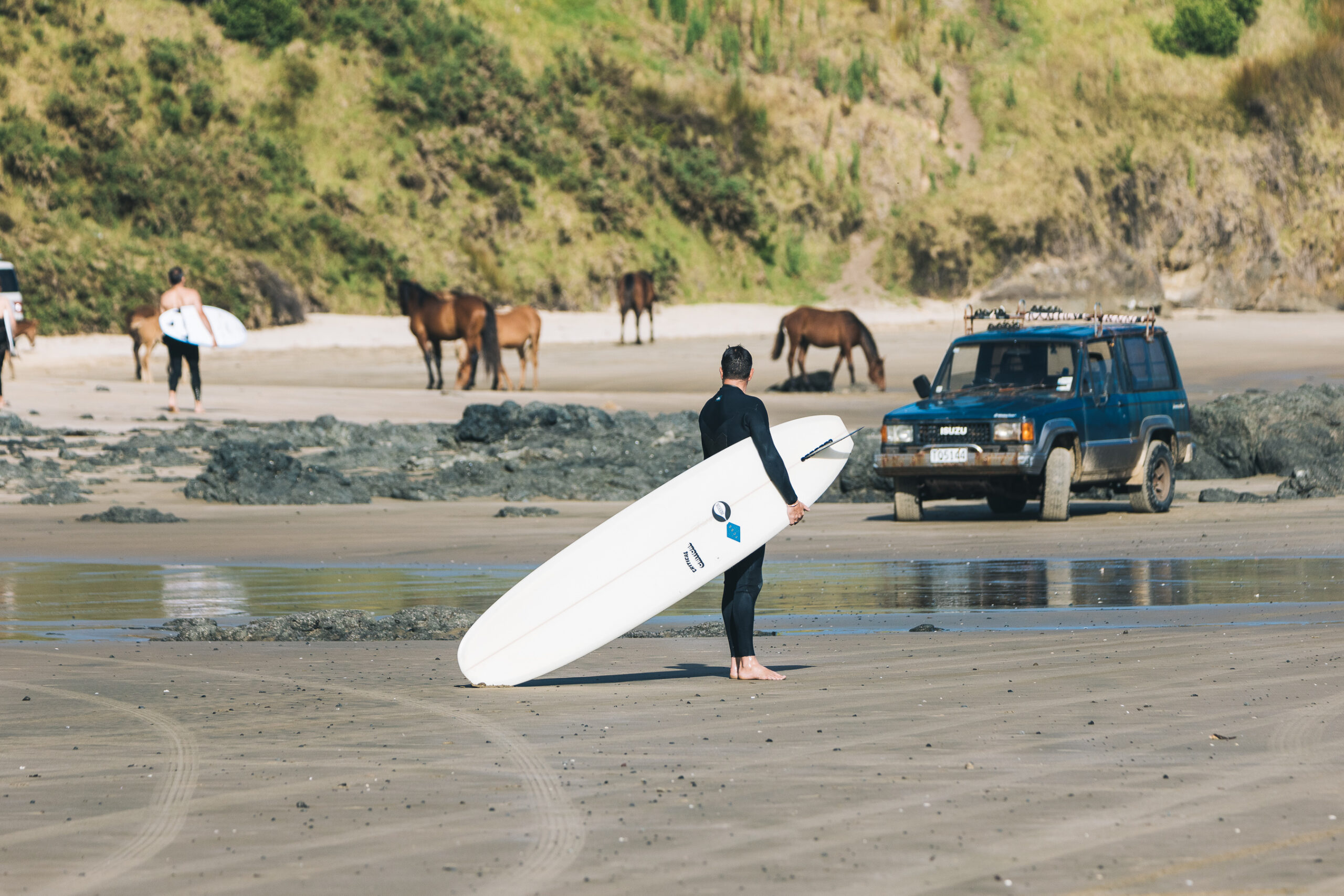 New Zealand: A Northland Summer Holiday