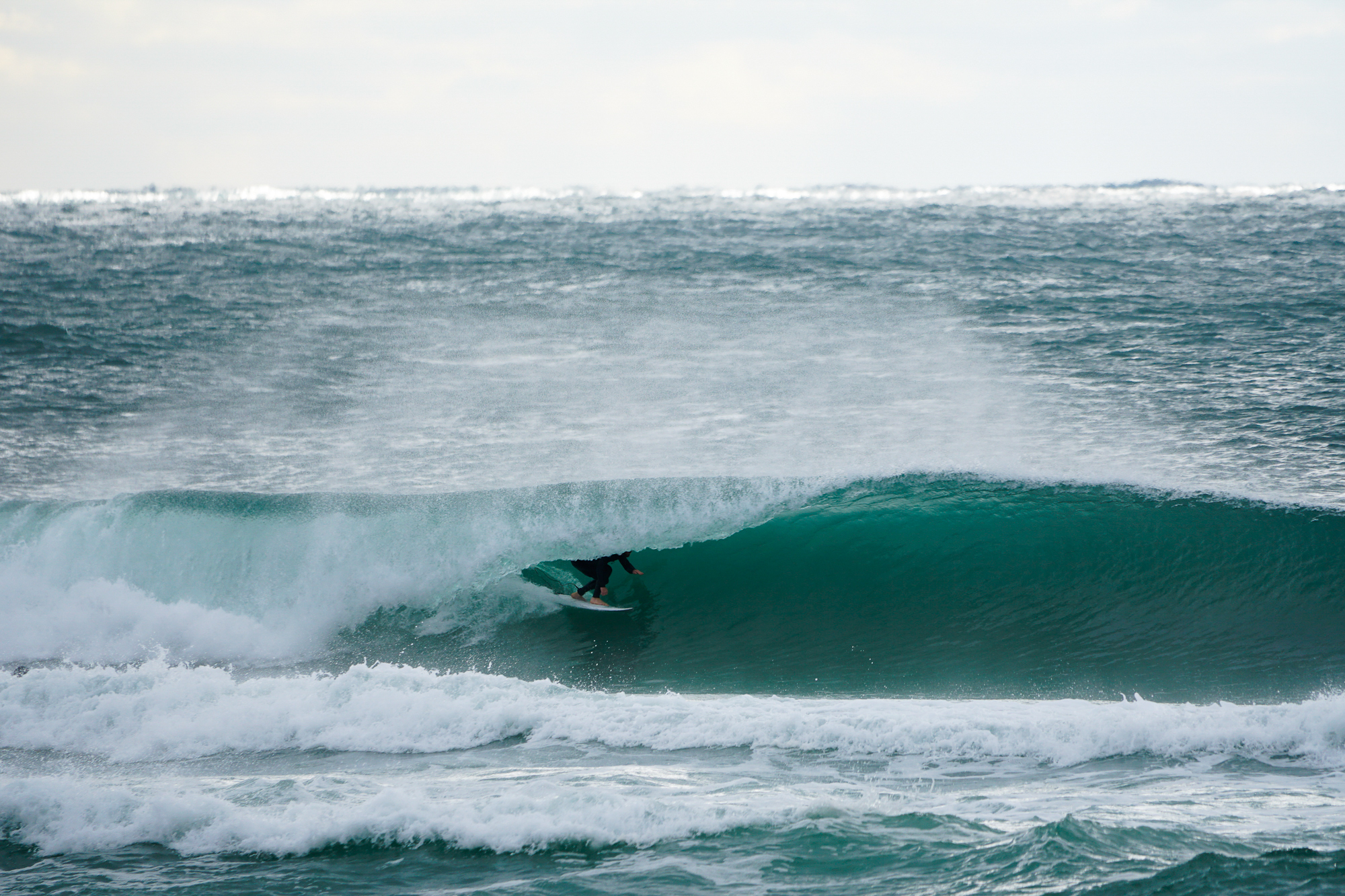 Cold Gold on the Florida Panhandle