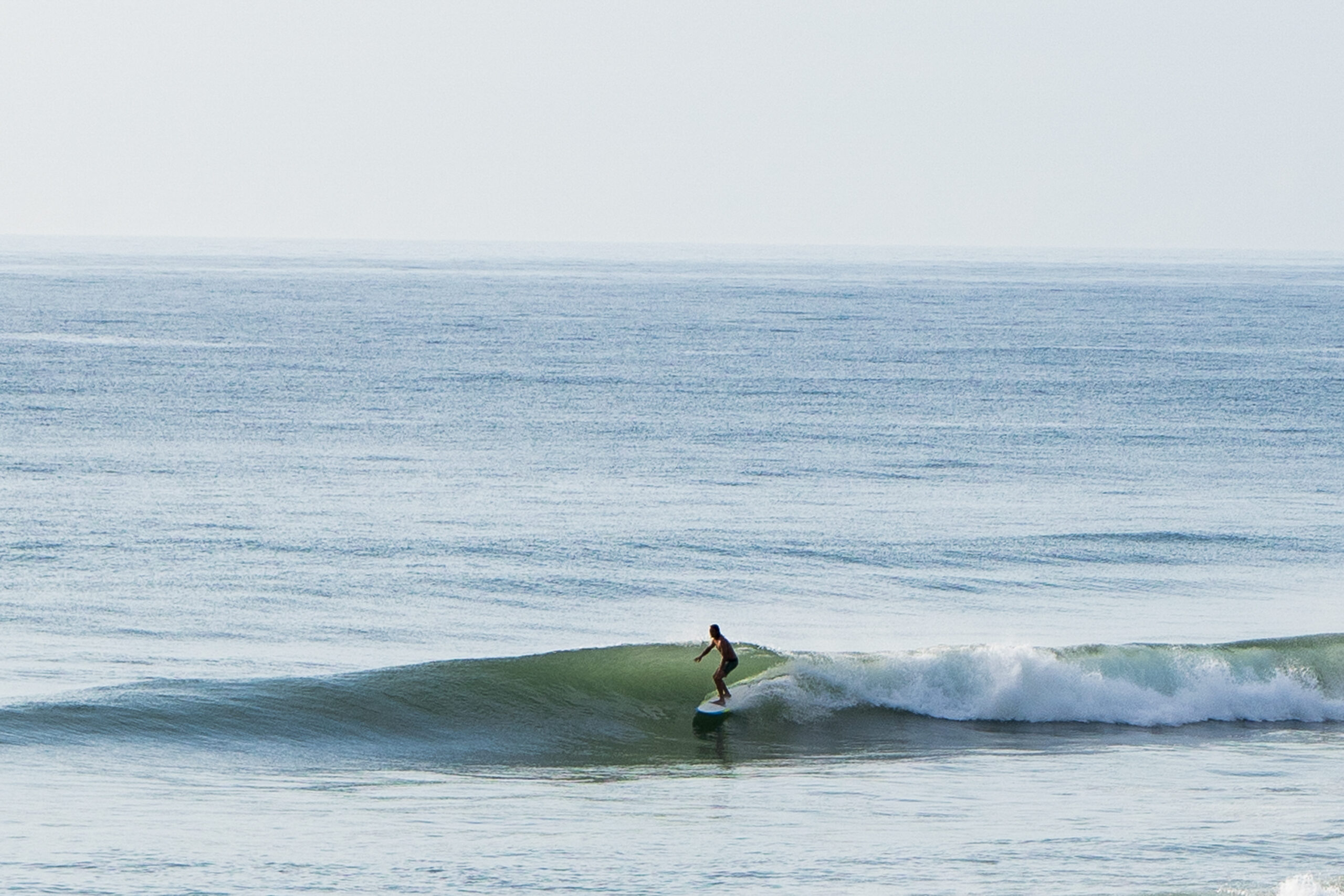 East Coast Summer Outlook 2025