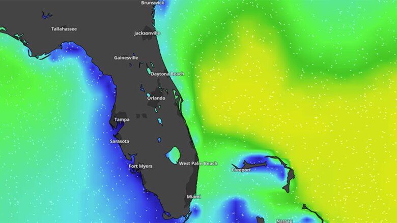 Waves, Wind Come to Florida Thanksgiving Weekend (and Beyond)