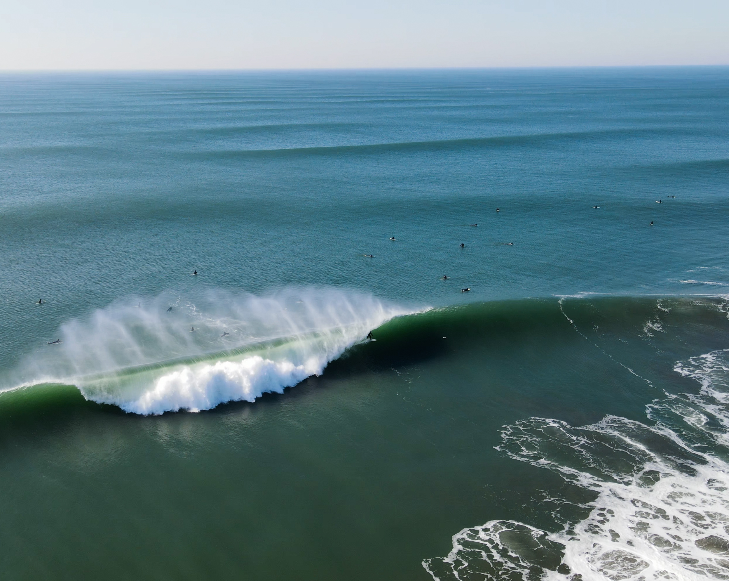 Dissecting the Dream: Ocean Beach, Jan 1-Feb 7, 2026