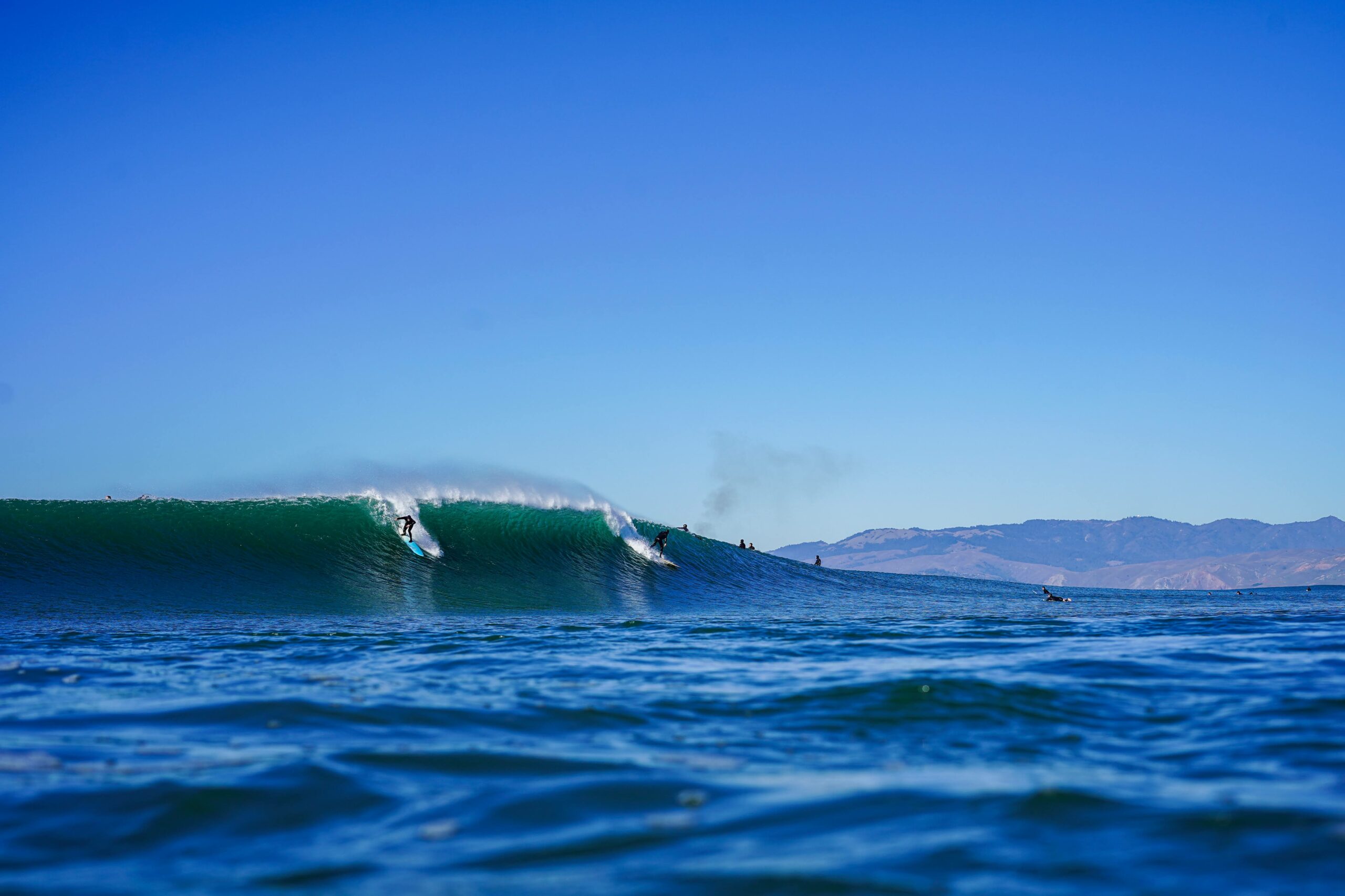Dissecting the Dream: Ocean Beach, Jan 1-Feb 7, 2026